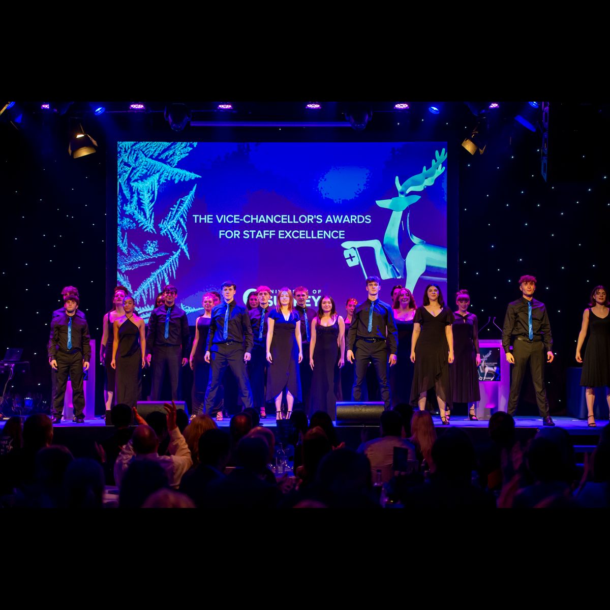 The Vice-Chancellor's Awards 2024 winners