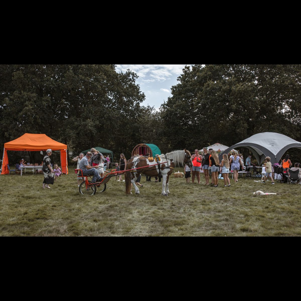 Gypsy, Roma and Traveller History Month